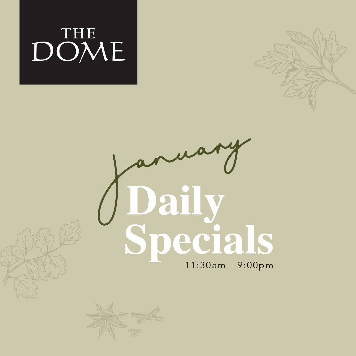 The Dome Monthly Special – Meru Valley Golf Resort