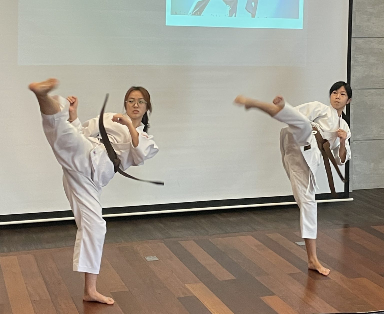 Karate Lessons for Children and Adults – Meru Valley Golf Resort